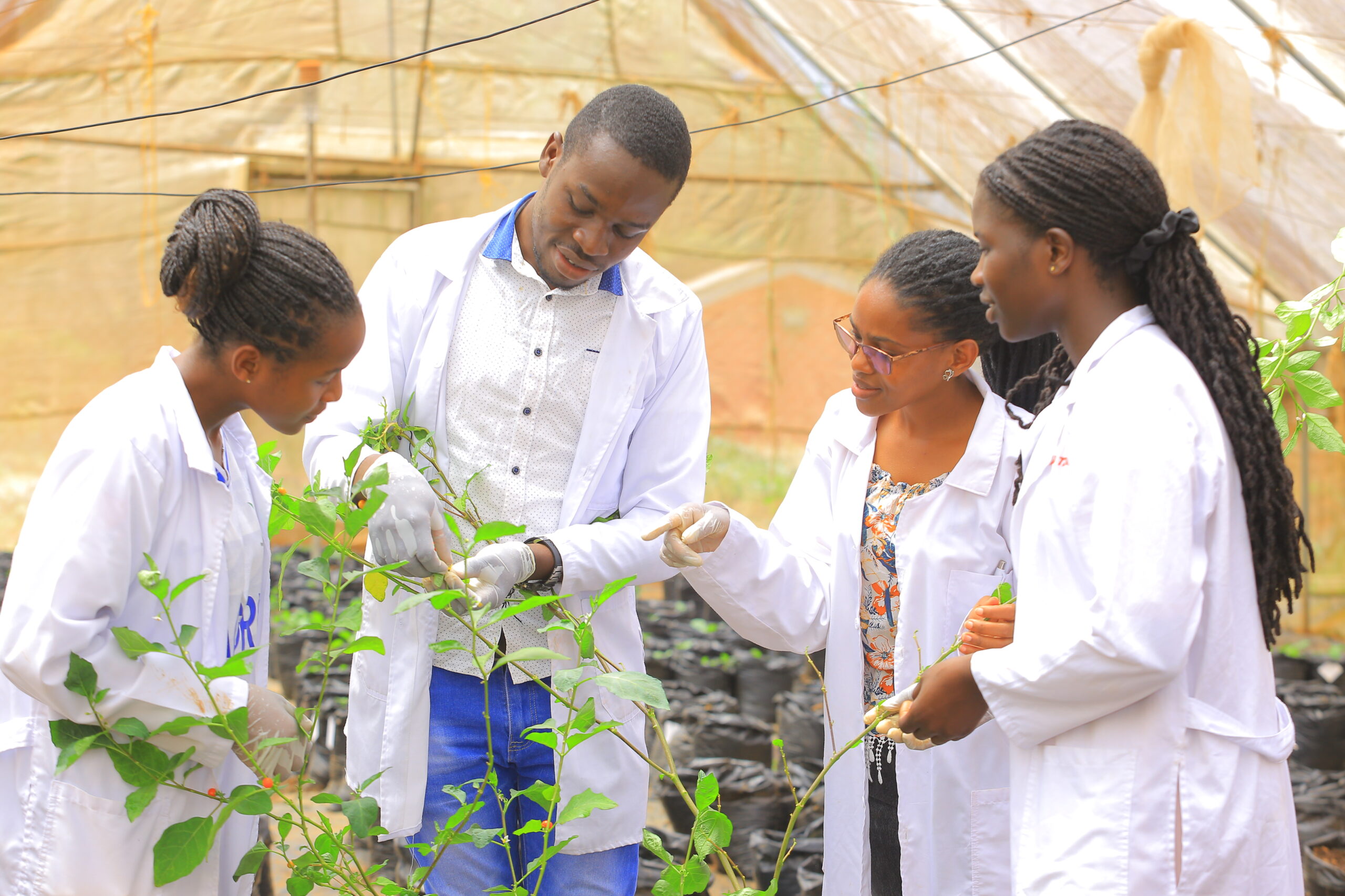 Faculty of Agricultural Sciences – Agriculture is the new cool